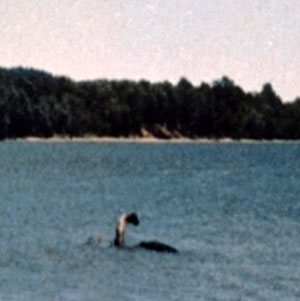 Champ: Zeigen neue Sonaraufnahmen das Ungeheuer im Lake Champlain?